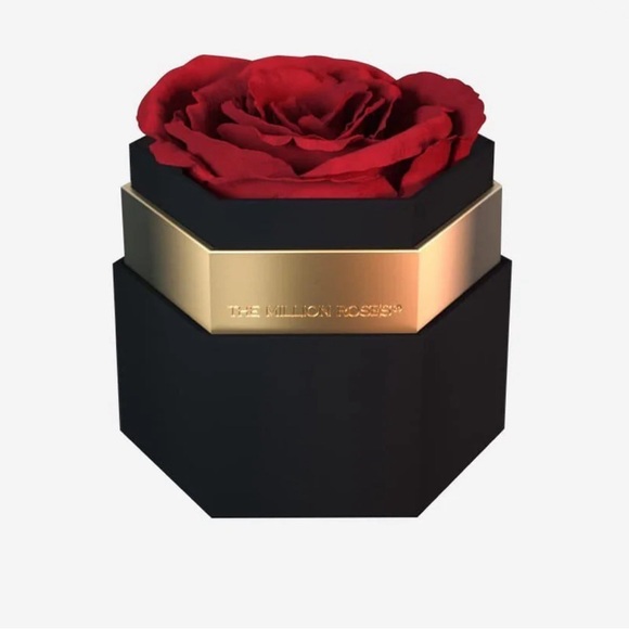 The Million Roses | Other | The Million Roses Single Red Rose | Poshmark